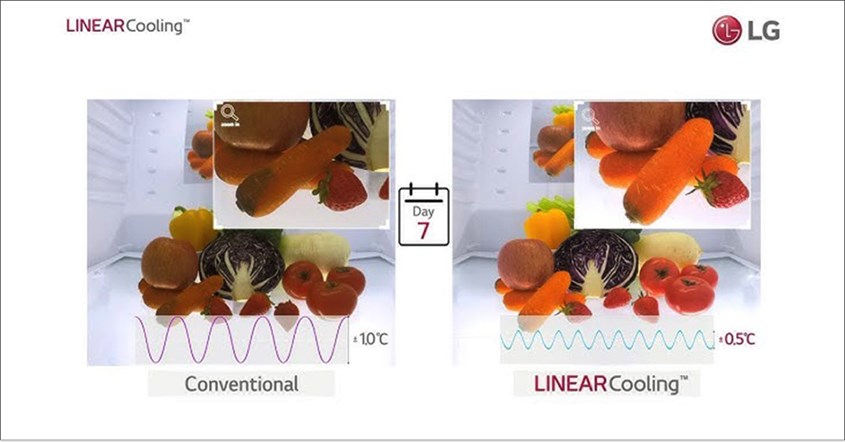 Apa Itu Linear Cooling? Keunggulan Teknologi Kulkas dari LG | erablue.id