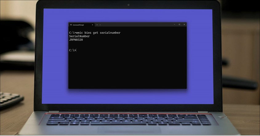 Cara Cek Serial Number Laptop di Semua Merk, Mudah! | erablue.id